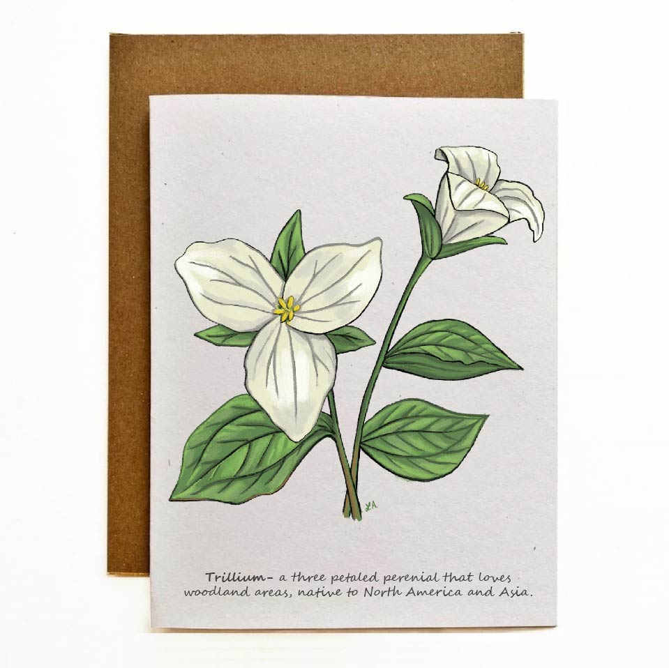 Trillium Eco-Friendly Greeting Card – Verdant Paper Co.